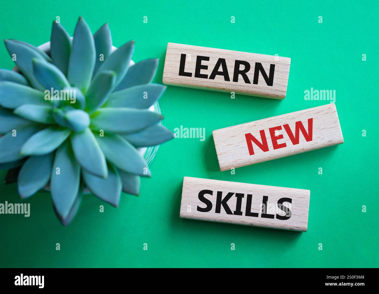 Learn new skills symbol. Concept words Learn new skills on wooden ...