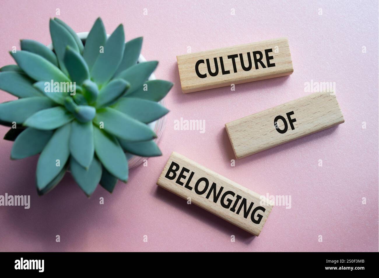 Culture of Belonging symbol. Wooden blocks with words Culture of ...