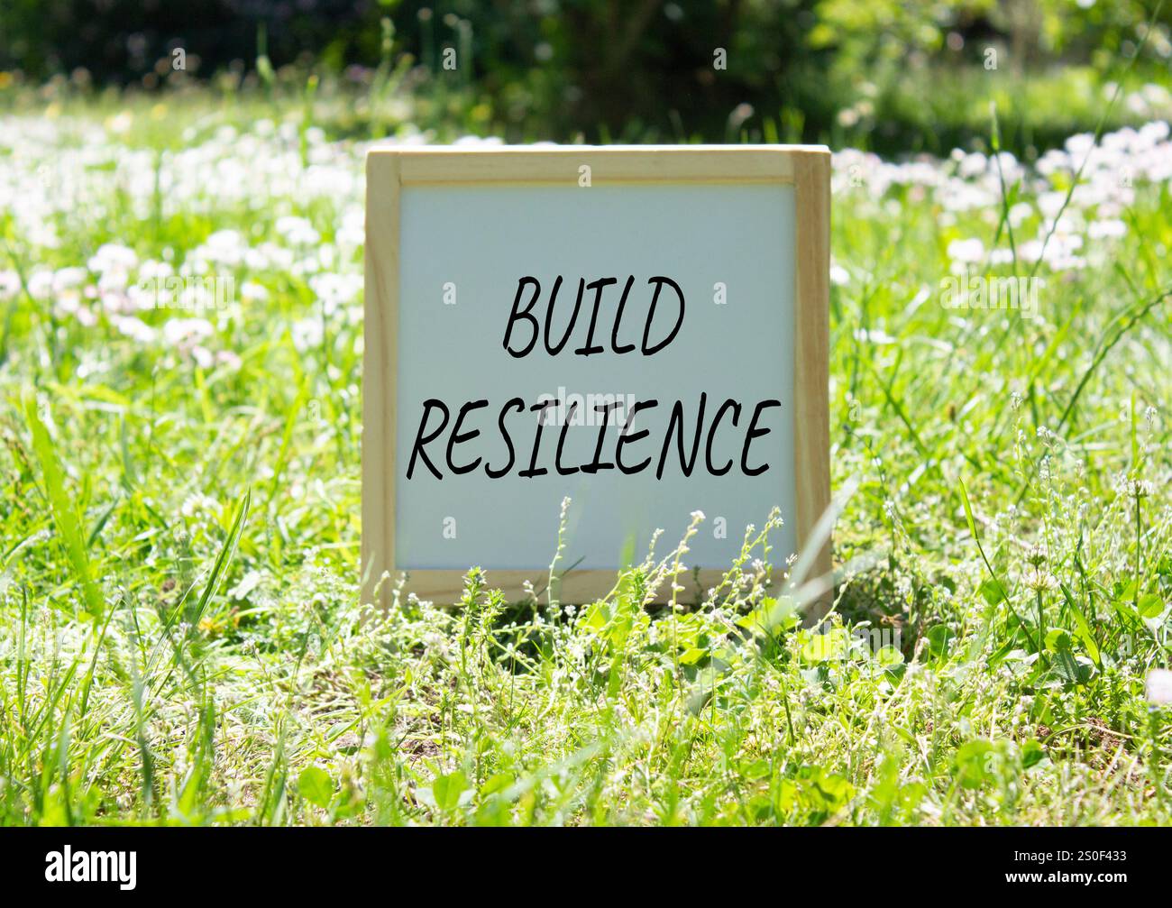 Build Resilience symbol. Build Resilience white chalk blackboard ...