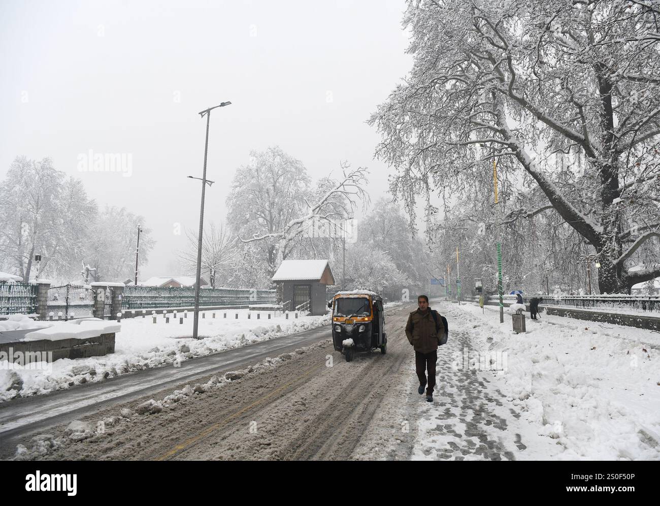 Srinagar, Jammu And Kashmir, India. 28th Dec, 2024. A man walks amid ...