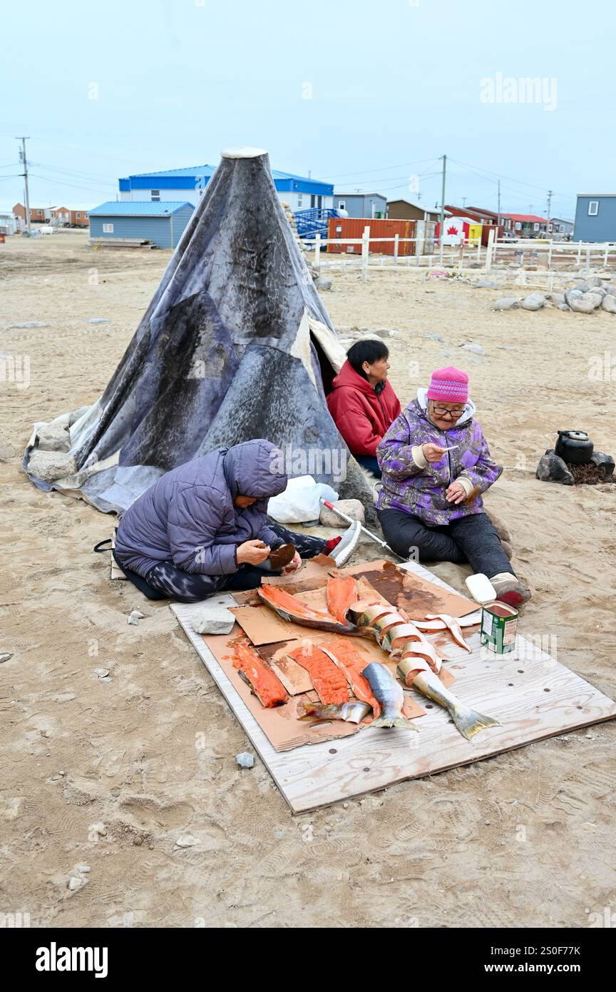 Inuits showing the former preparation of fish hi-res stock photography ...