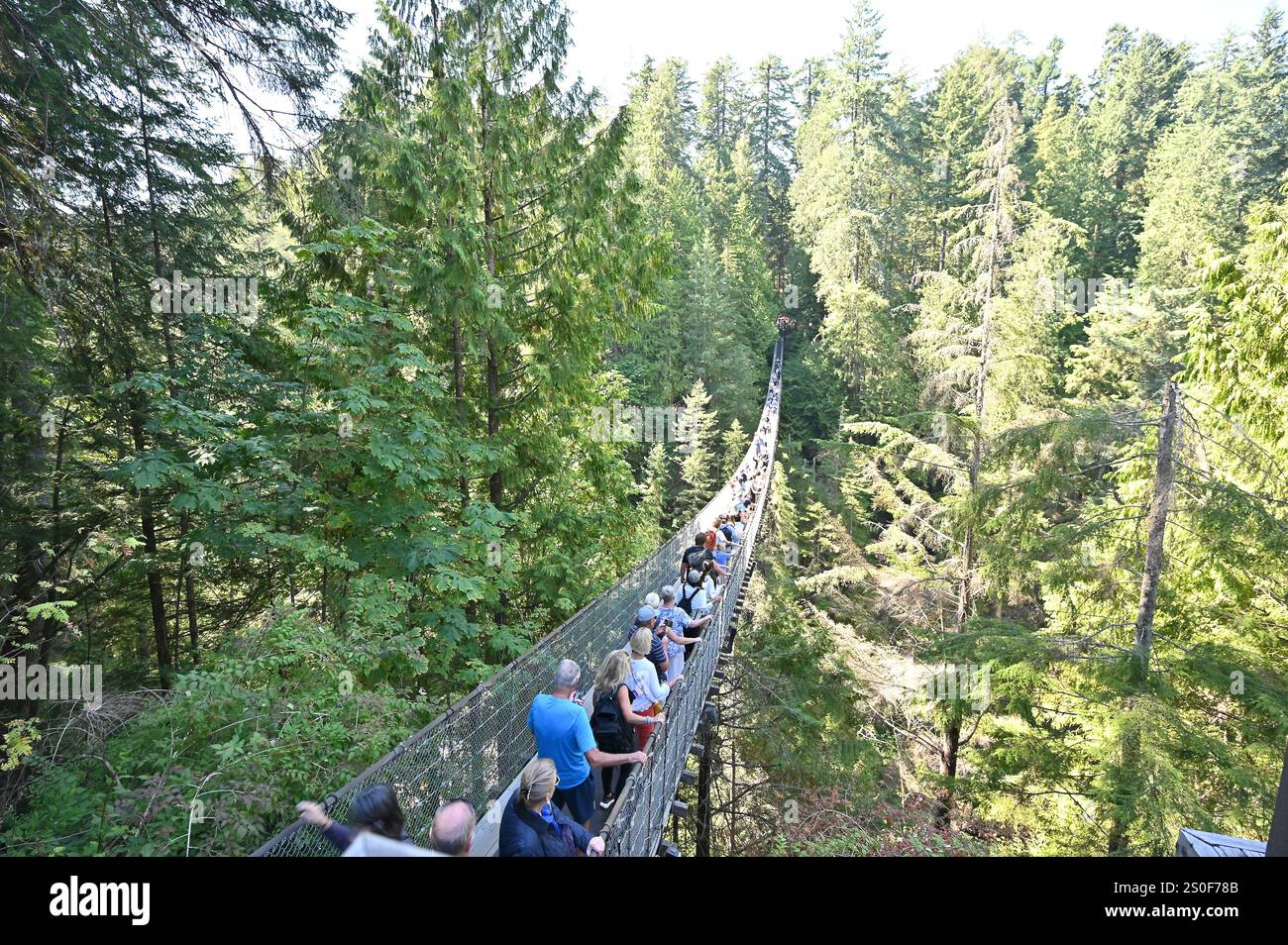 crowded Capilano suspension bridge, North Vancouver Stock Photo - Alamy