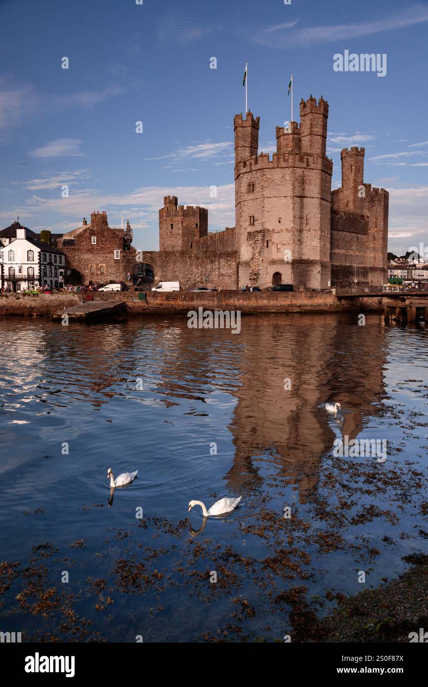 Caernarfon castle reflecting in the waters of the Menai Straits at high ...