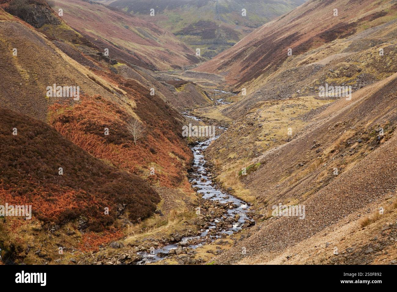 The upper reaches of Gunnerside Gill at Bunton Mine, in Swaledale in ...