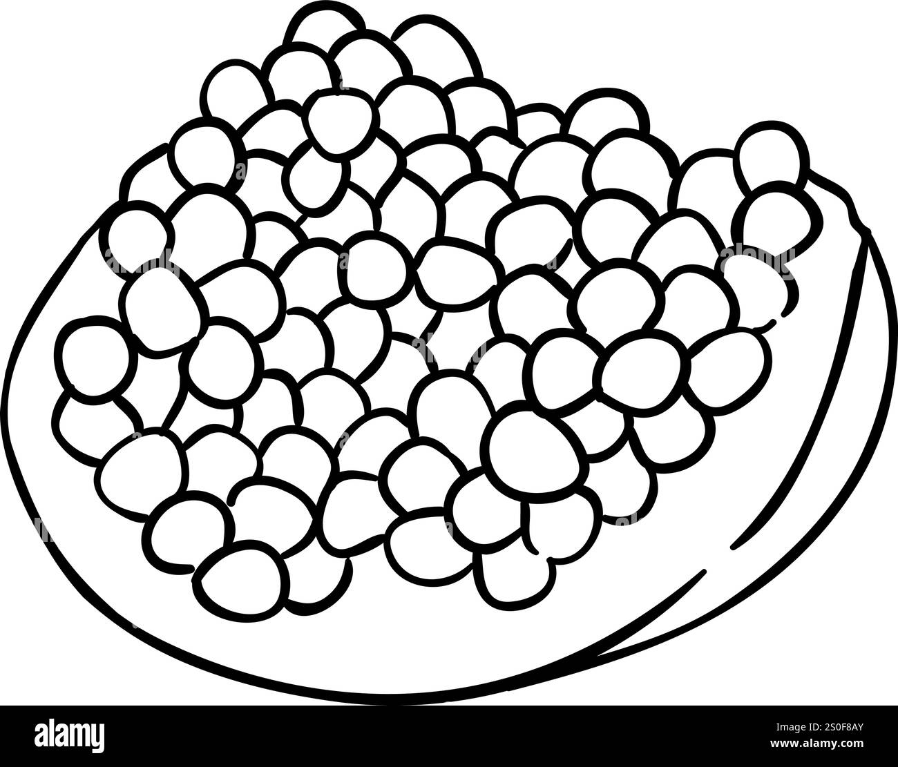 Pomegranate Fruit Isolated Outline Illustration Stock Vector Image ...