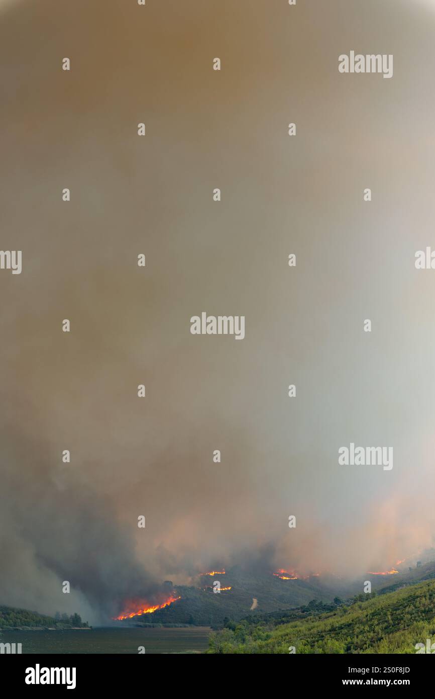 Fire smoke burning forest natural hi-res stock photography and images ...