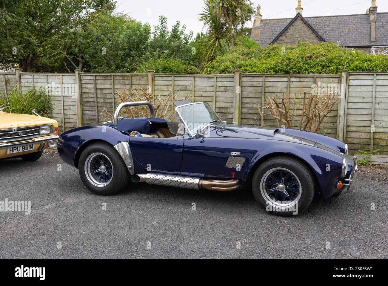 Ac Cobra side view Stock Photo - Alamy