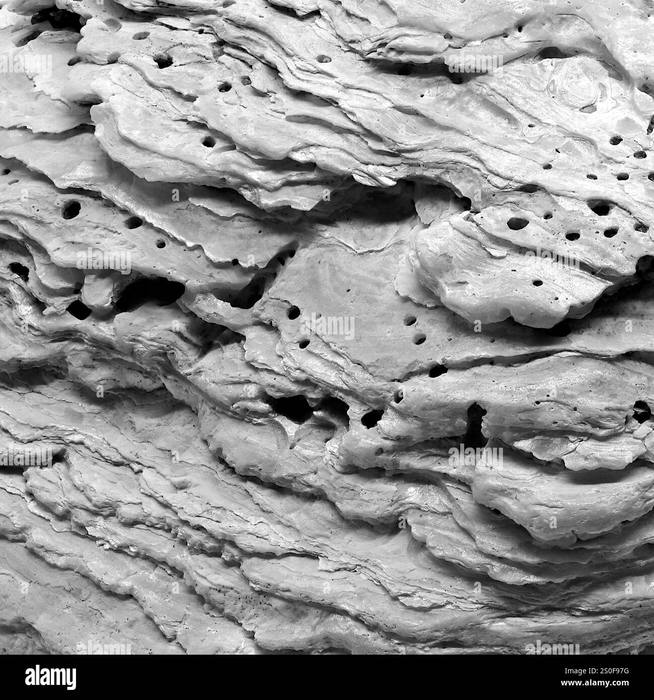 Abstract, background, backdrop, macro, textured view of: Grayscale ...