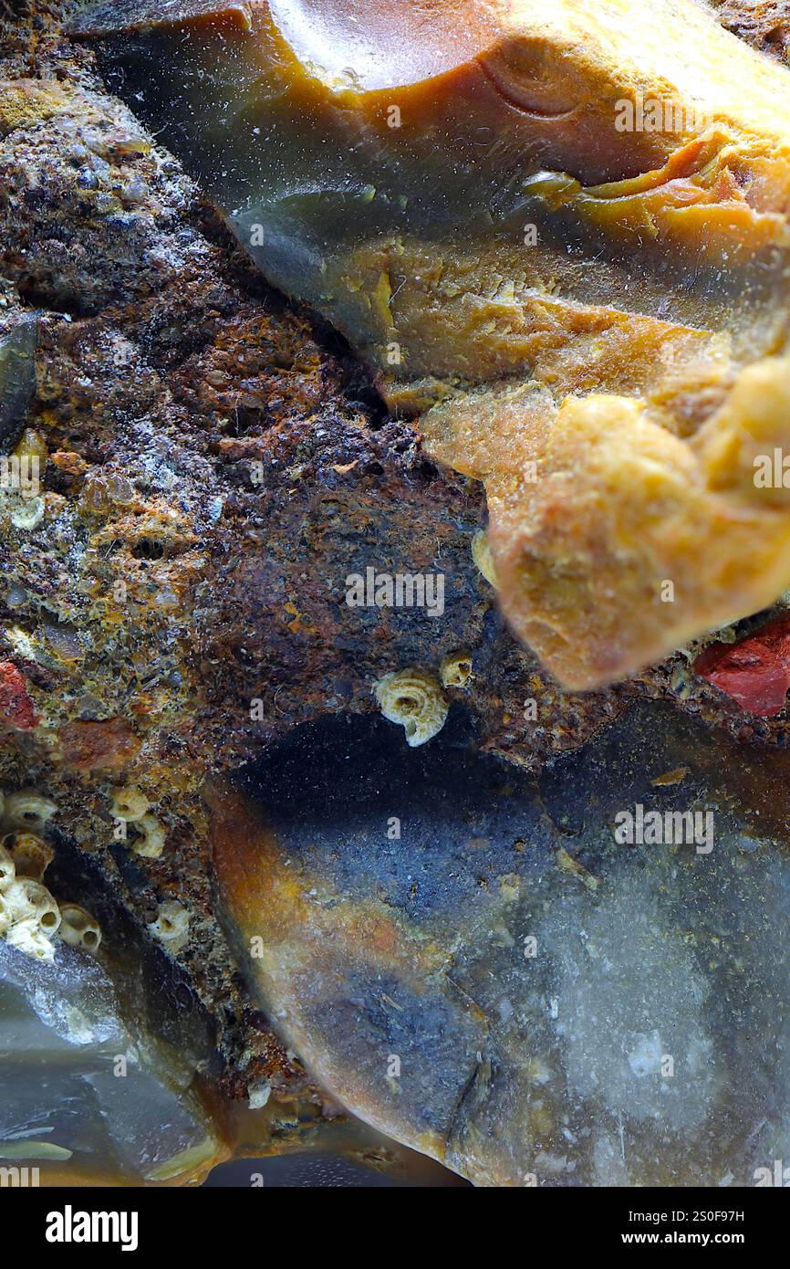 Abstract, background, backdrop, macro, textured view of: Vertical frame ...