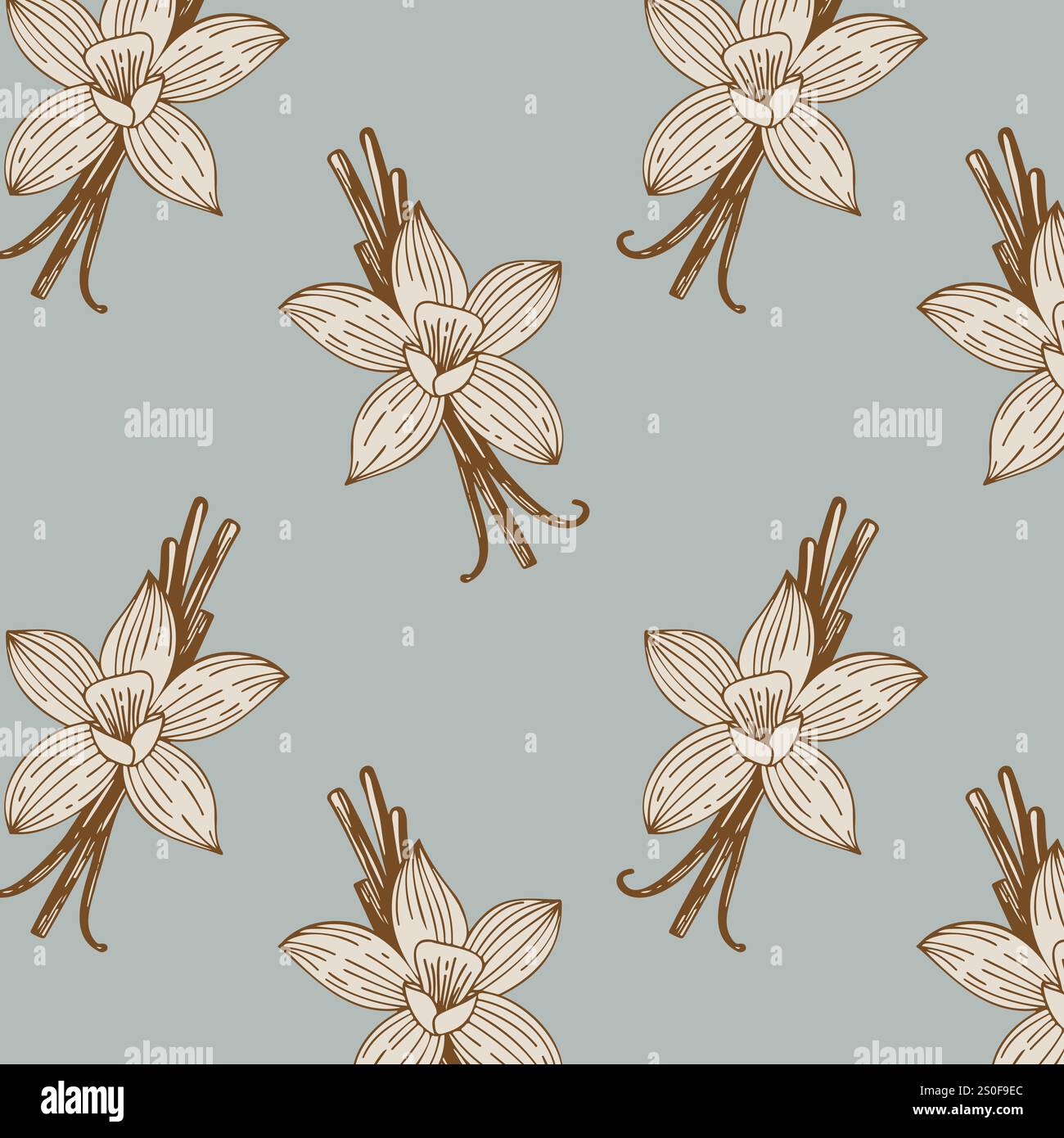 Vintage pattern with aromatic spices Vanilla flowers and vanilla sticks on gray background ...