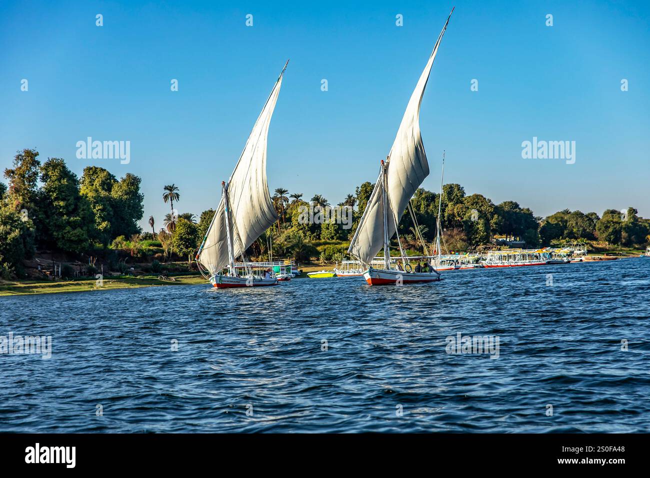 Aswan, Egypt; January 18, 2024: Experience the tradition of the ...