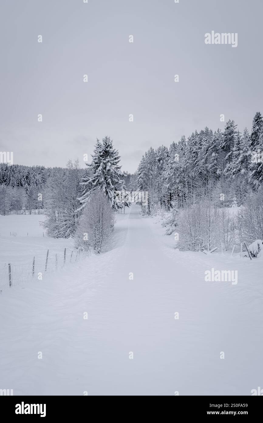 A serene and peaceful winter scene showcasing a beautifully snowcovered ...