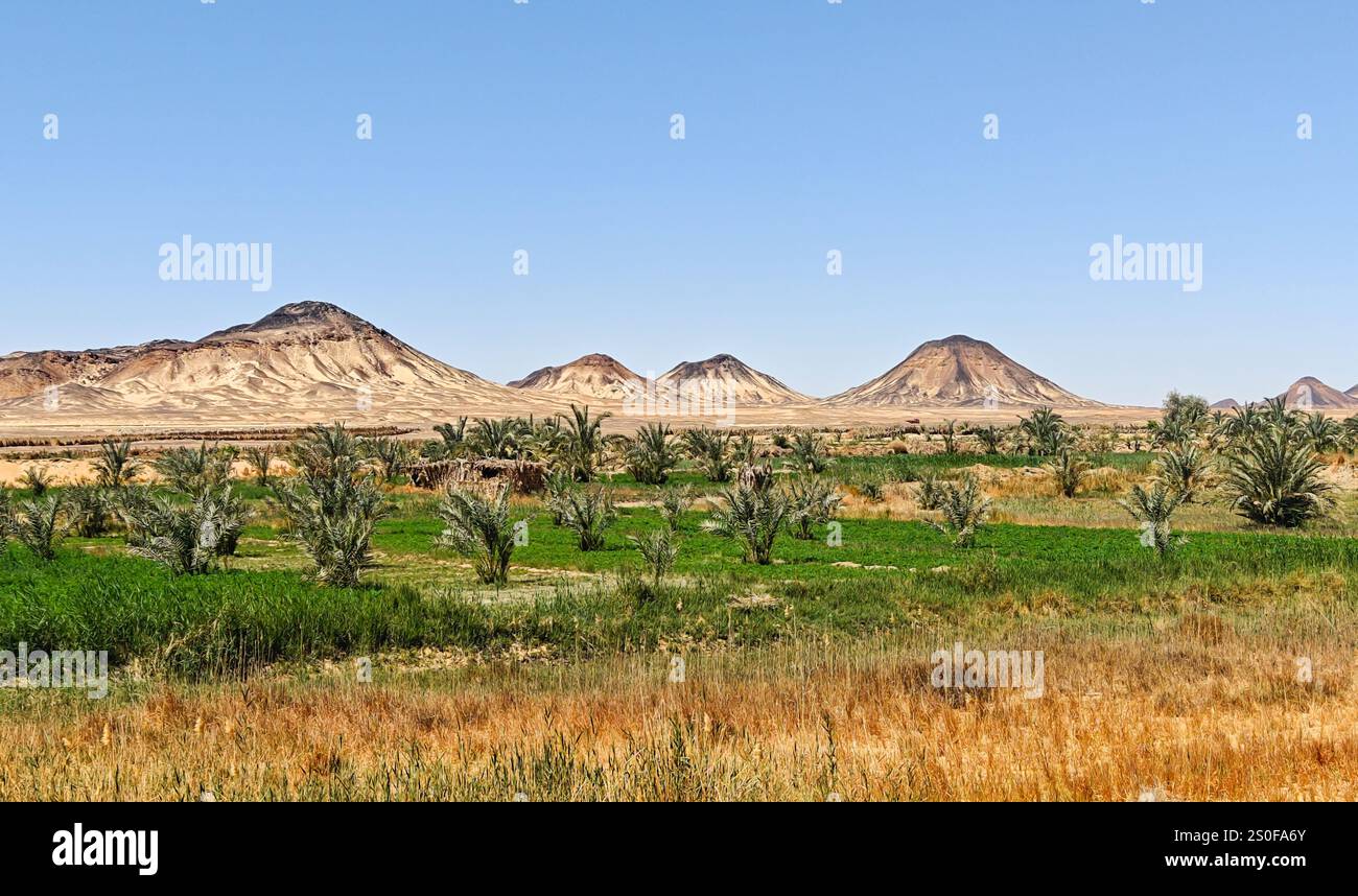 part of the widest hot desert in the World, the Sahara, the Black ...