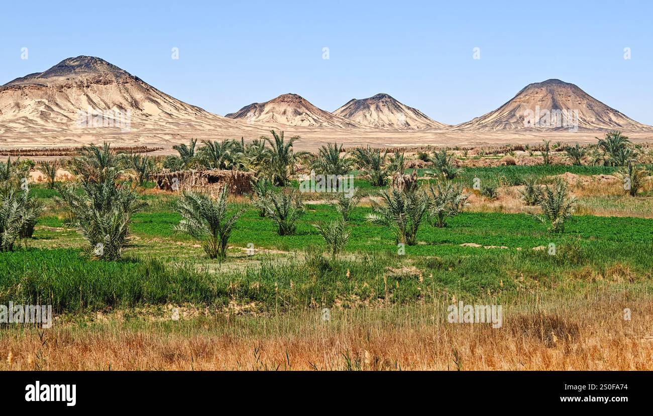 part of the widest hot desert in the World, the Sahara, the Black ...