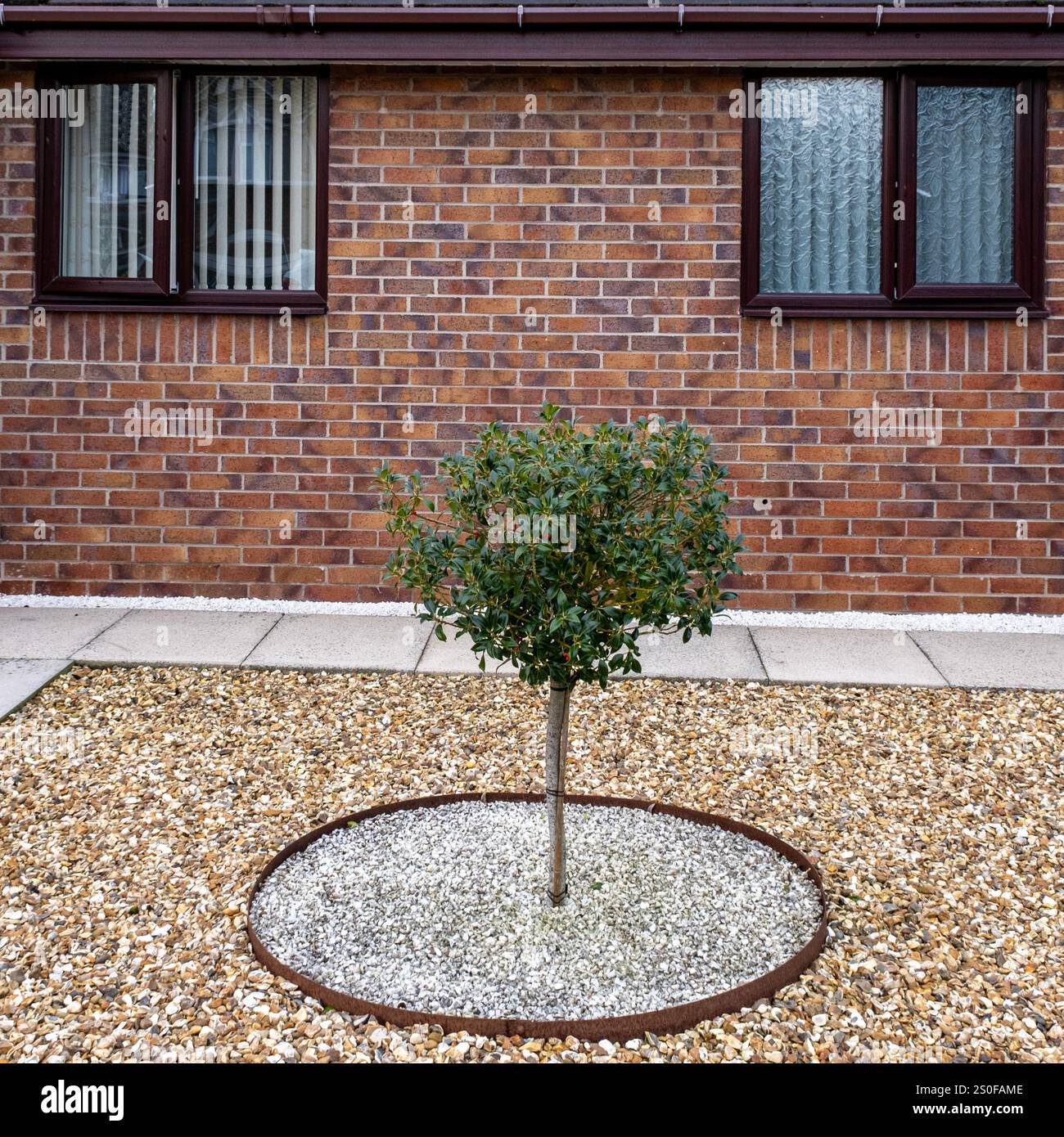 Landscaped garden, for easy maintenance, with tree and pebbles in front ...