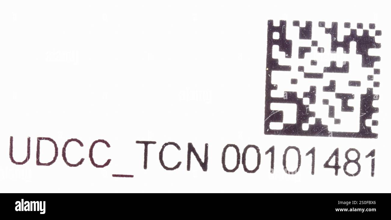 Waterhyacinth Planthopper (Megamelus scutellaris Stock Photo - Alamy