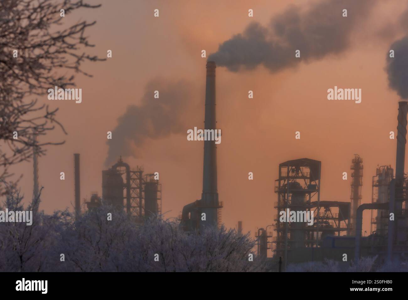 Karamay, China. 28th Nov, 2024. KARAMAY, CHINA - NOVEMBER 29, 2024 ...