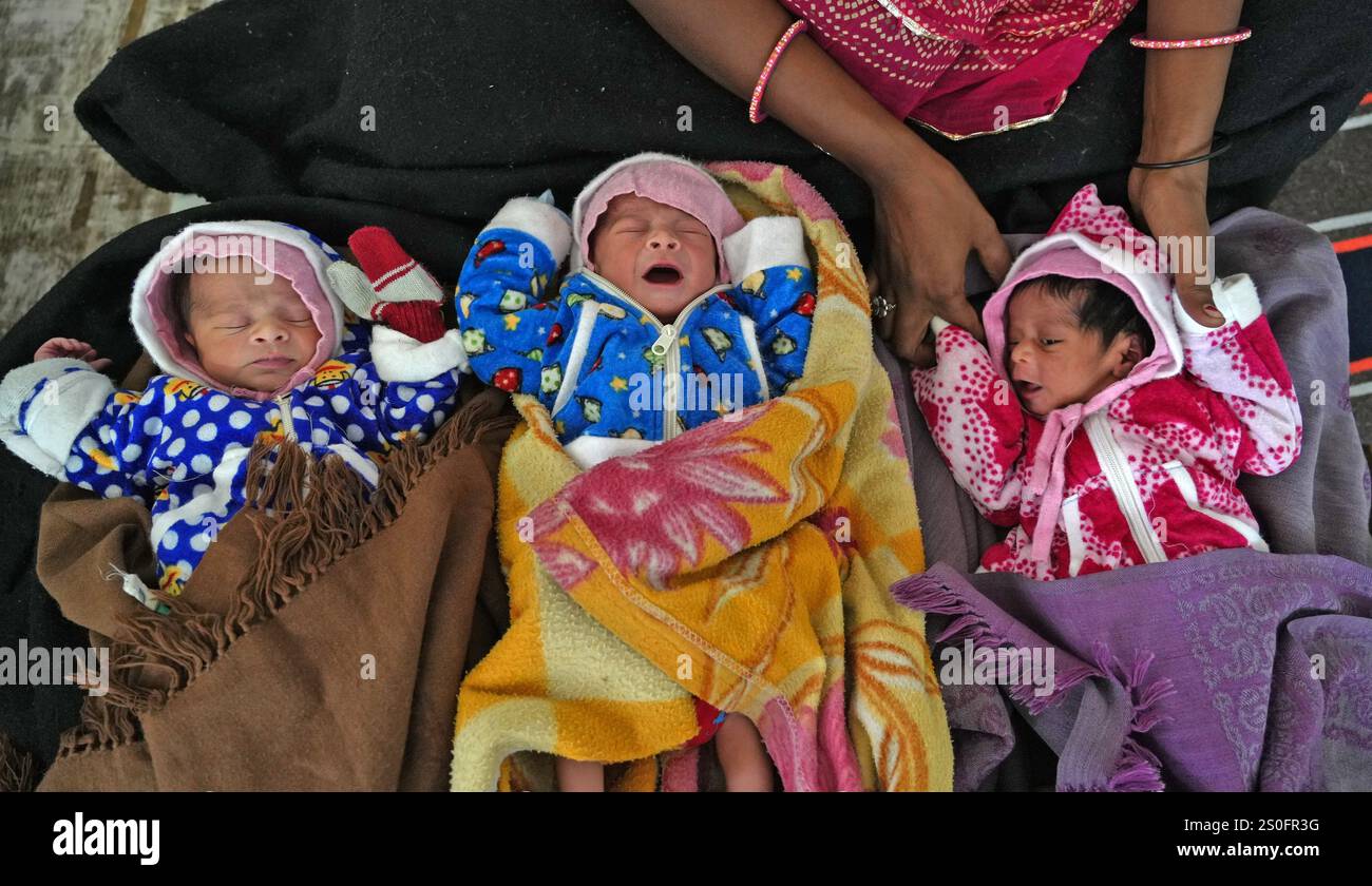 Beawar, Rajasthan, India, December 27, 2024: Newborn triplets of a 22-year-old rajasthani mother ...
