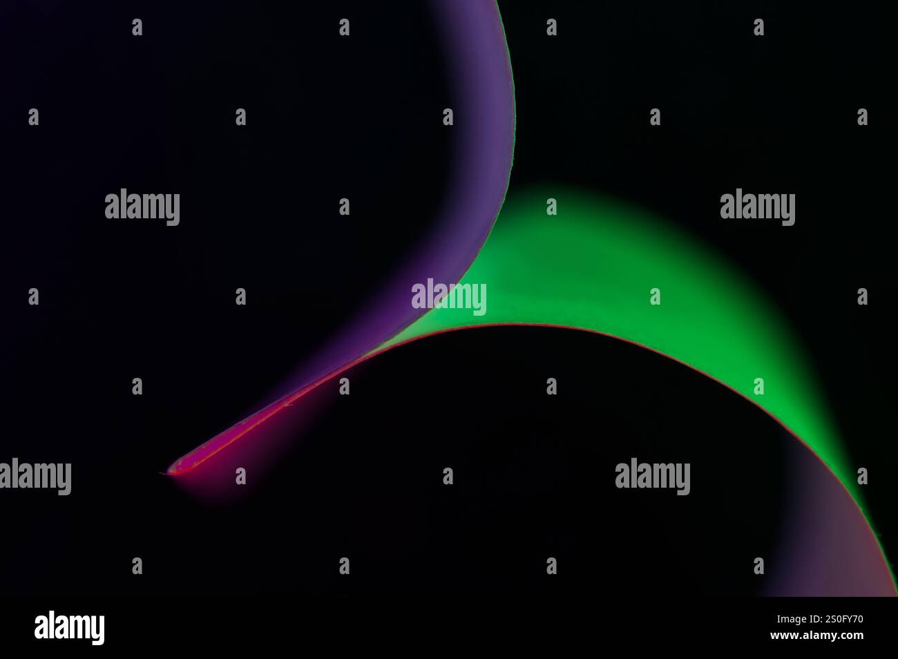 Green and purple abstract background of glowing wire like streaks ...