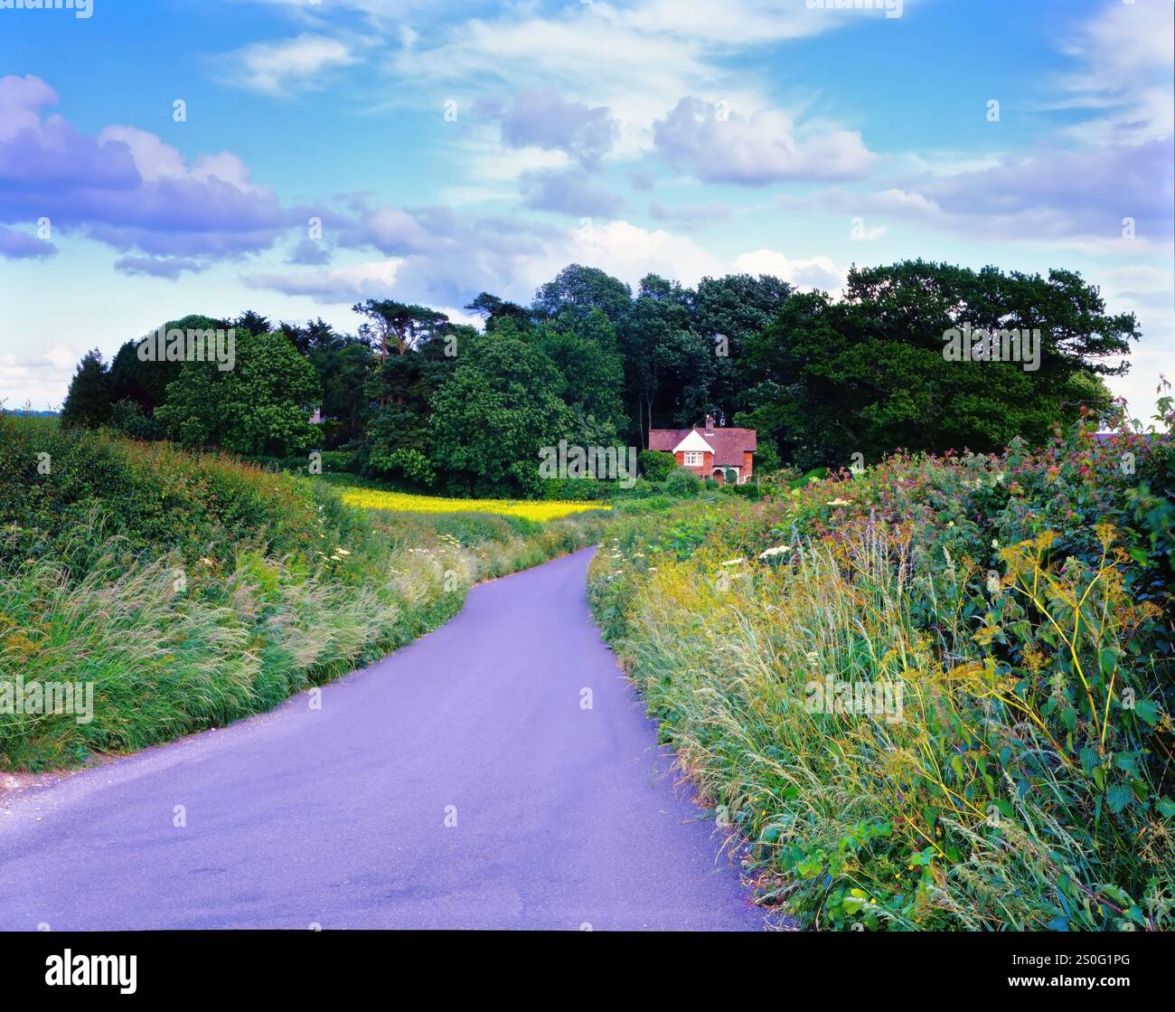 A summer view of a quiet country lane in rural Dorset, England, leading ...