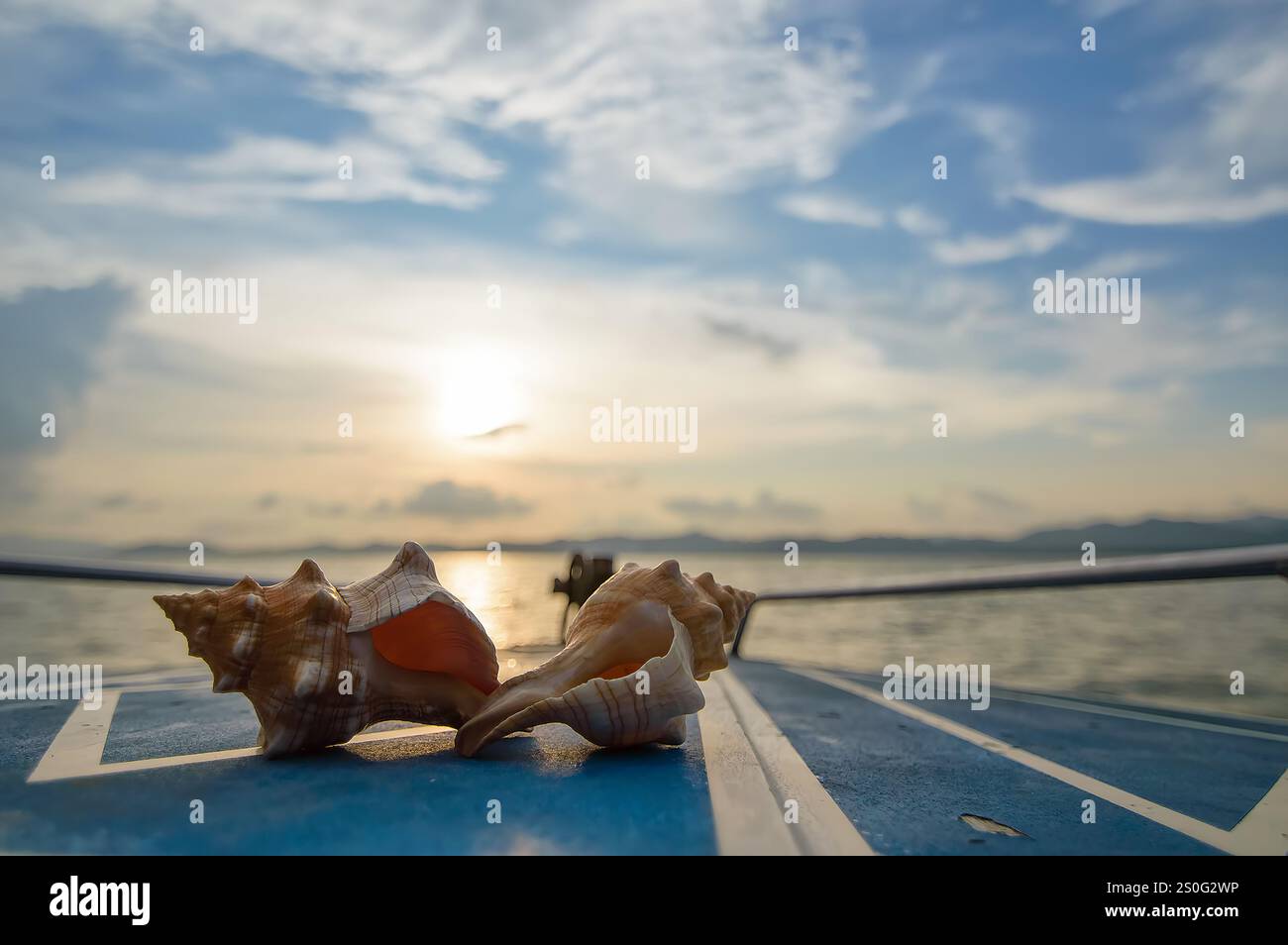 two shells put on the floor of the boat that floating on the sea near ...