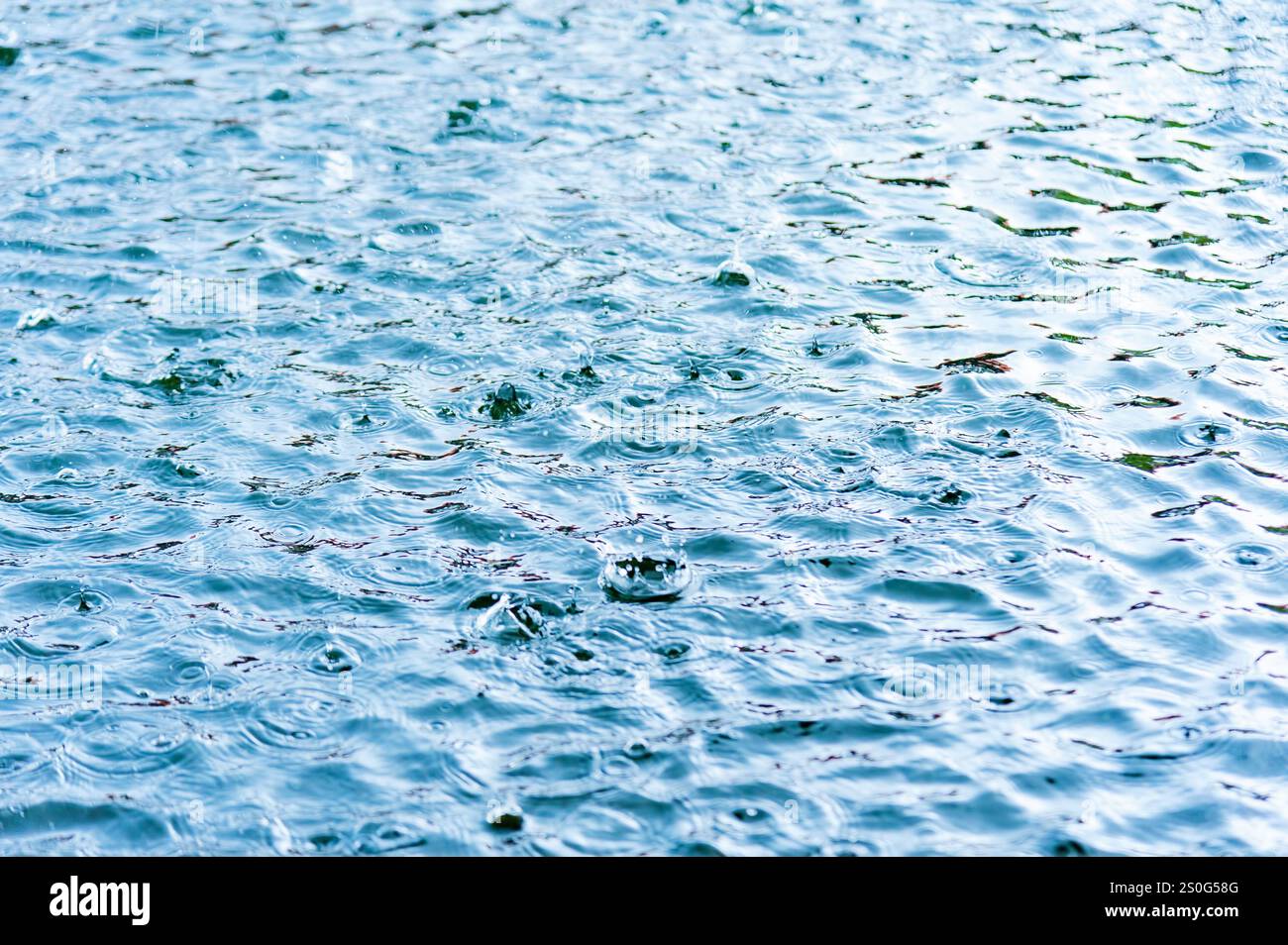 rain drops on the surface of water in a puddle with graduated shade of ...