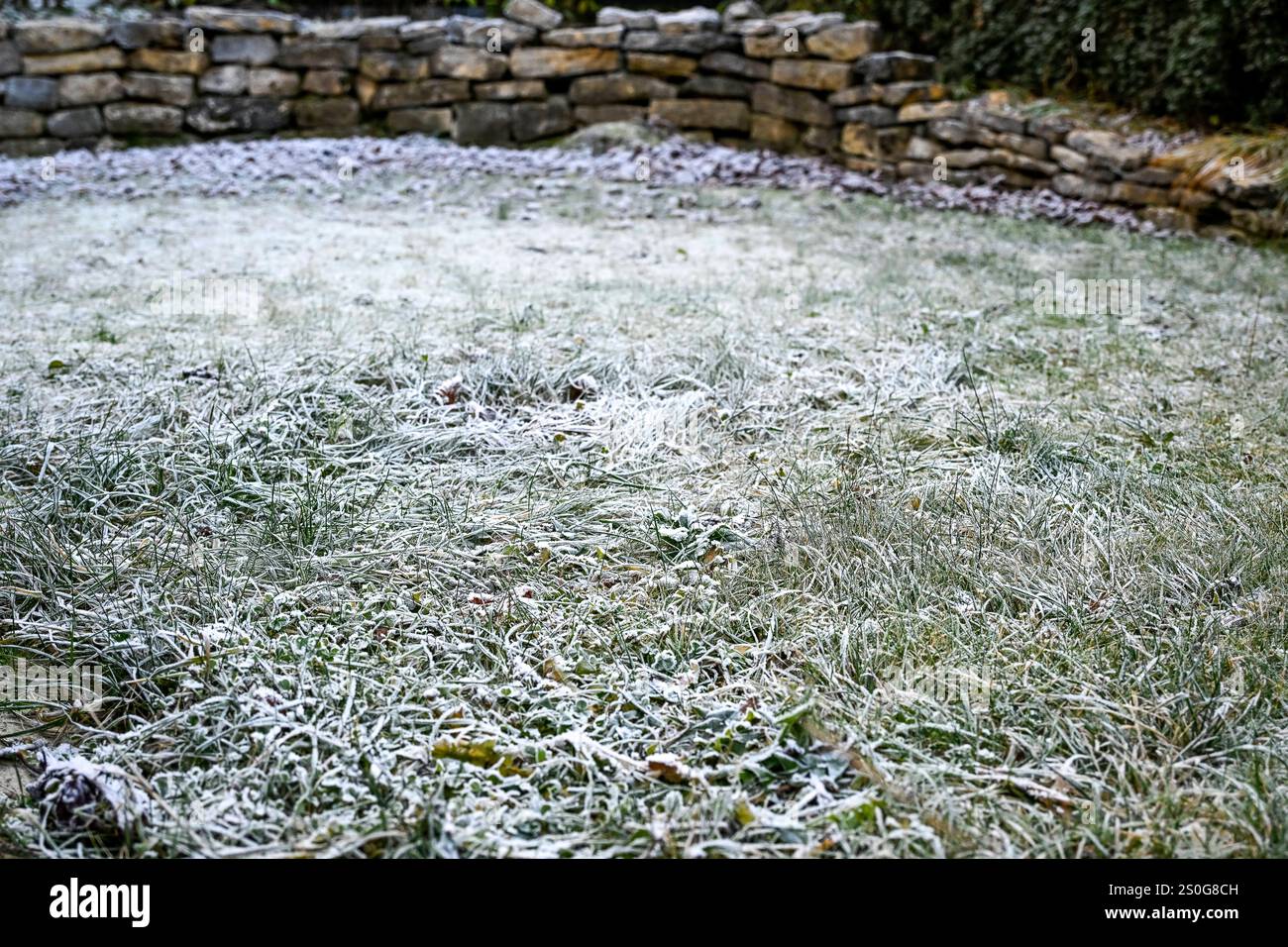 28.12.2024, Deutschland, Baden Würrtemberg, Reif auf einer Rasenfläche ...