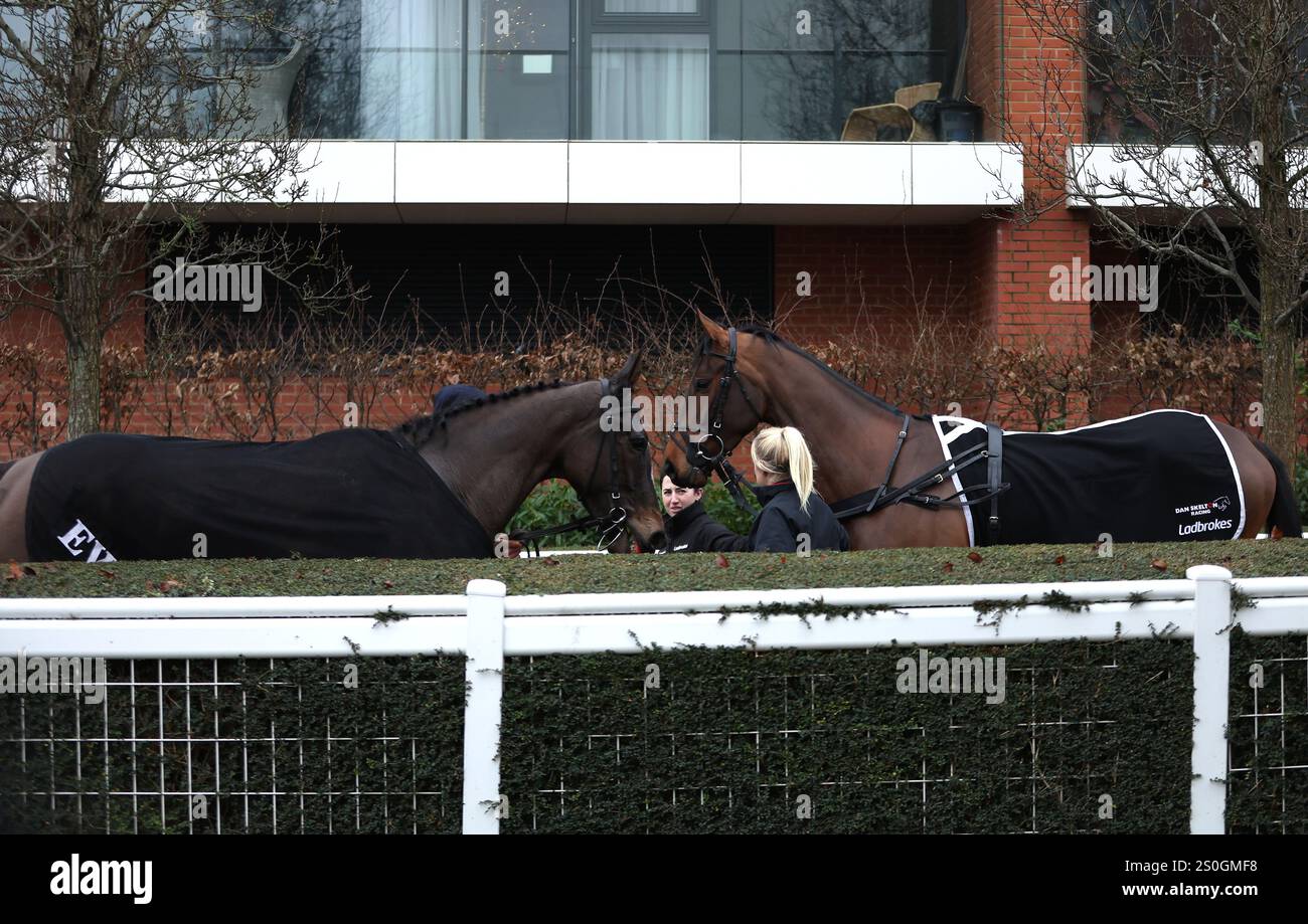 A horse being led to the parade ring as another one is taken back to ...