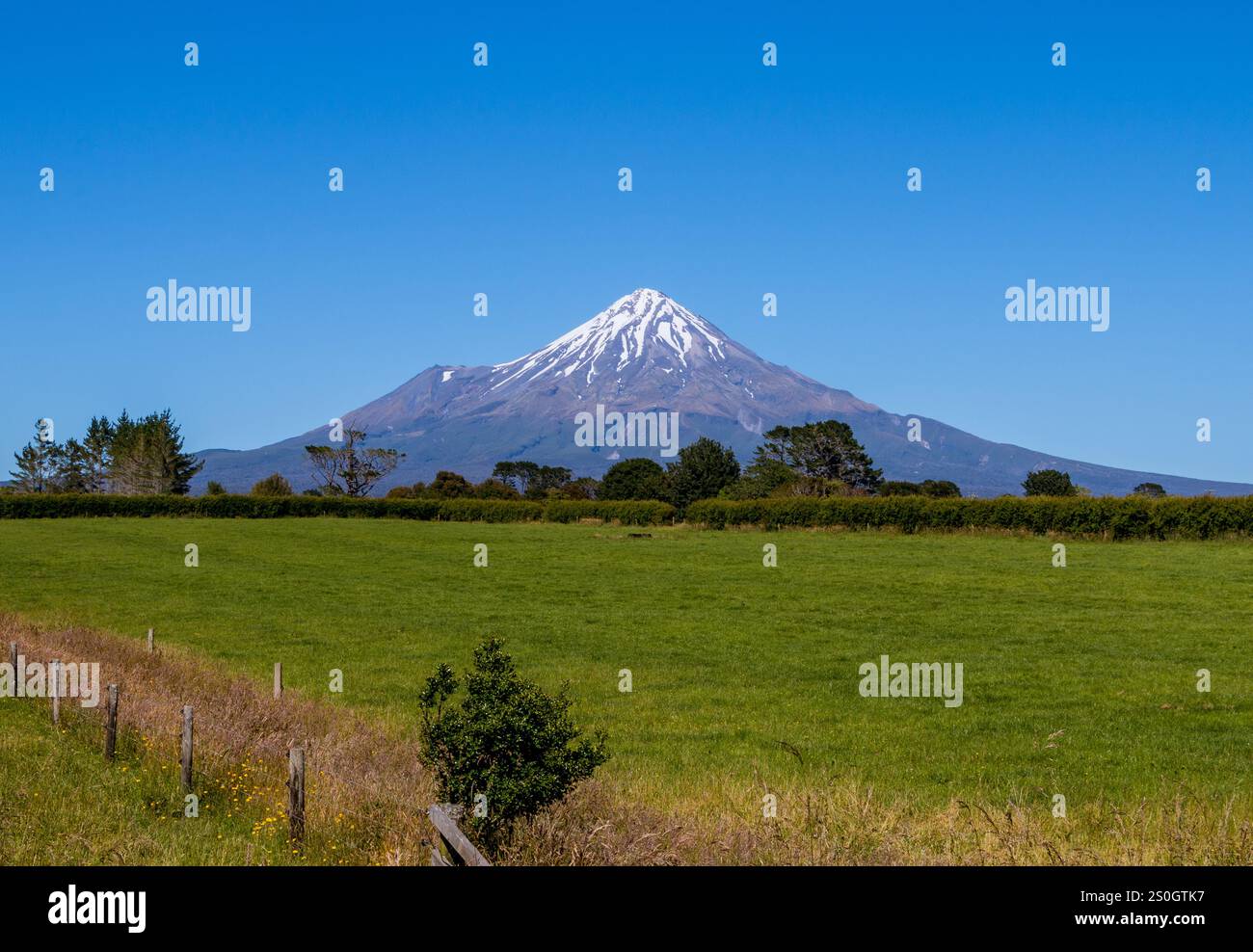 Mount Taranaki seen from South Taranaki farmland Stock Photo - Alamy