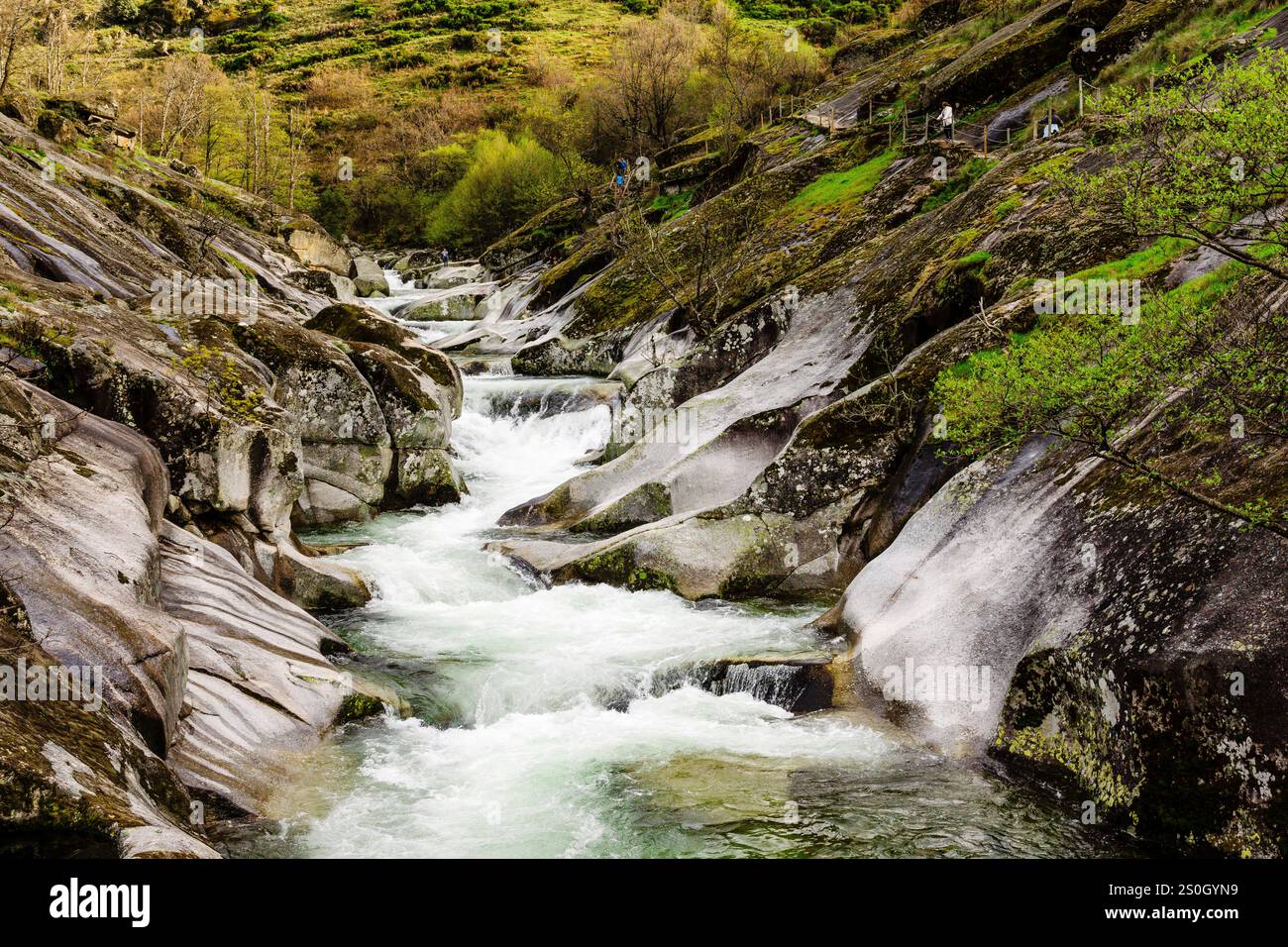 Los Pilones, rapid river, Hell's Gorge nature reserve, Tormantos ...
