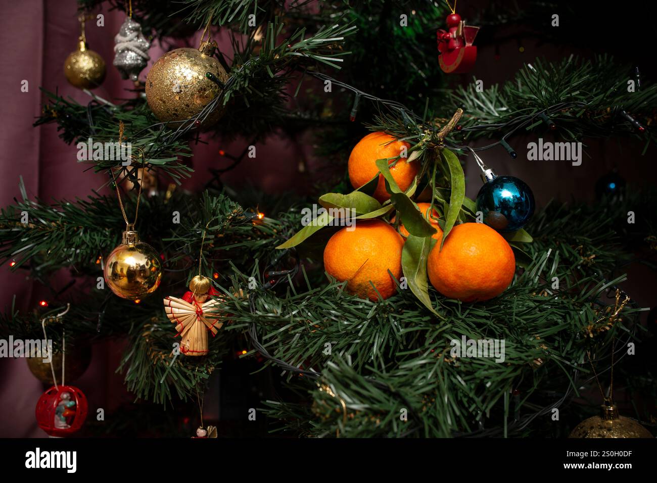 Mandarin fruits with green leaves in a plastic christmas tree with ...