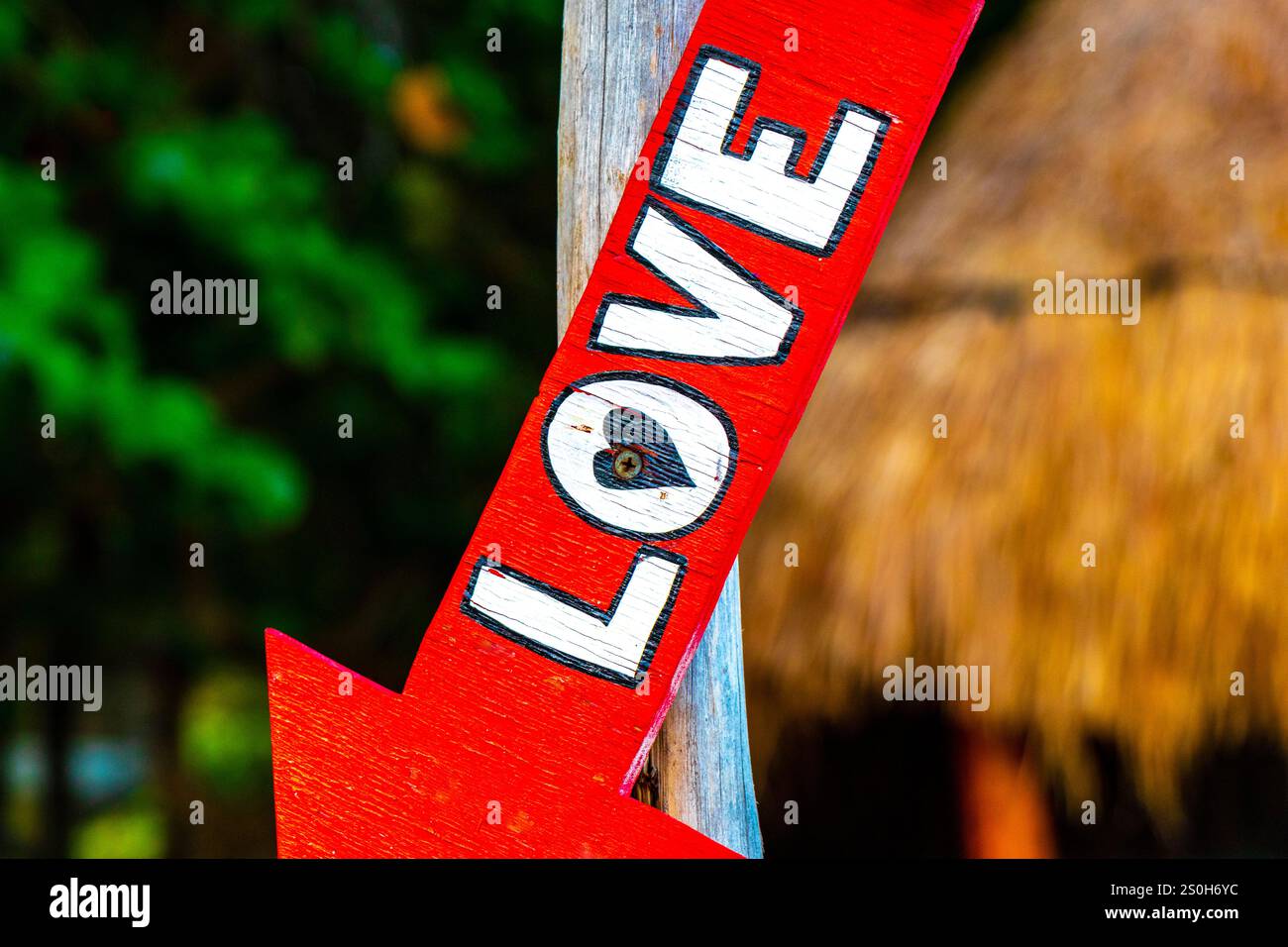 Directional signs sign on the beach in Playa del Carmen Quintana Roo ...