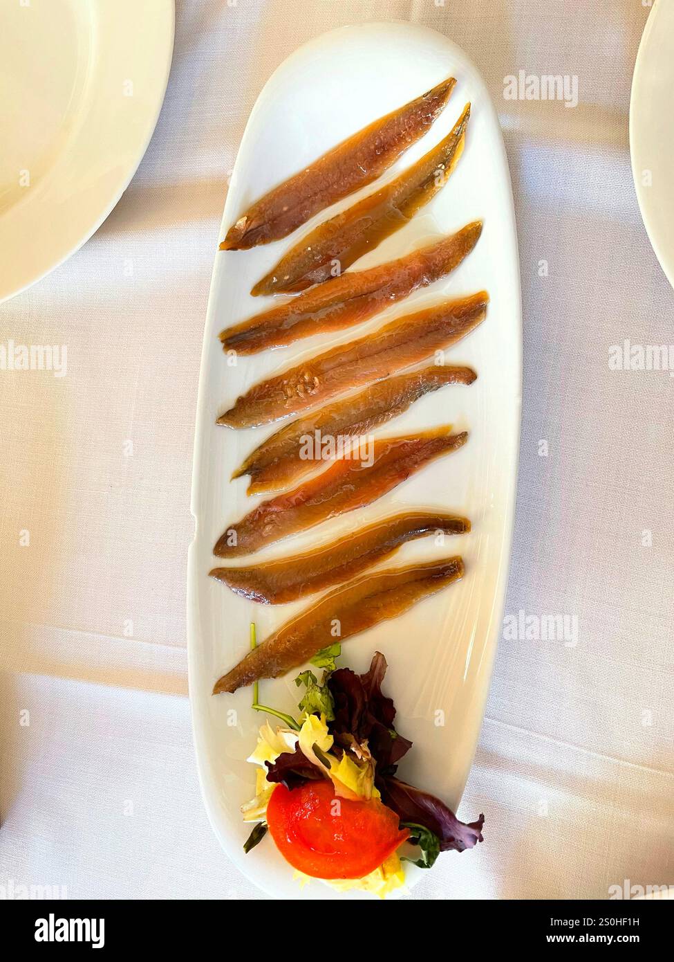 Anchovy fillets. Spain Stock Photo - Alamy