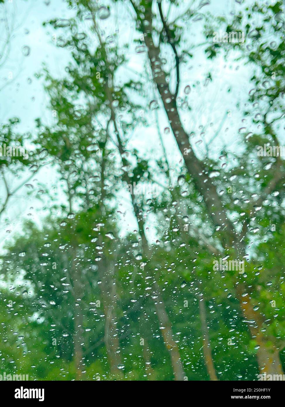 Viewed through glass hi-res stock photography and images - Alamy