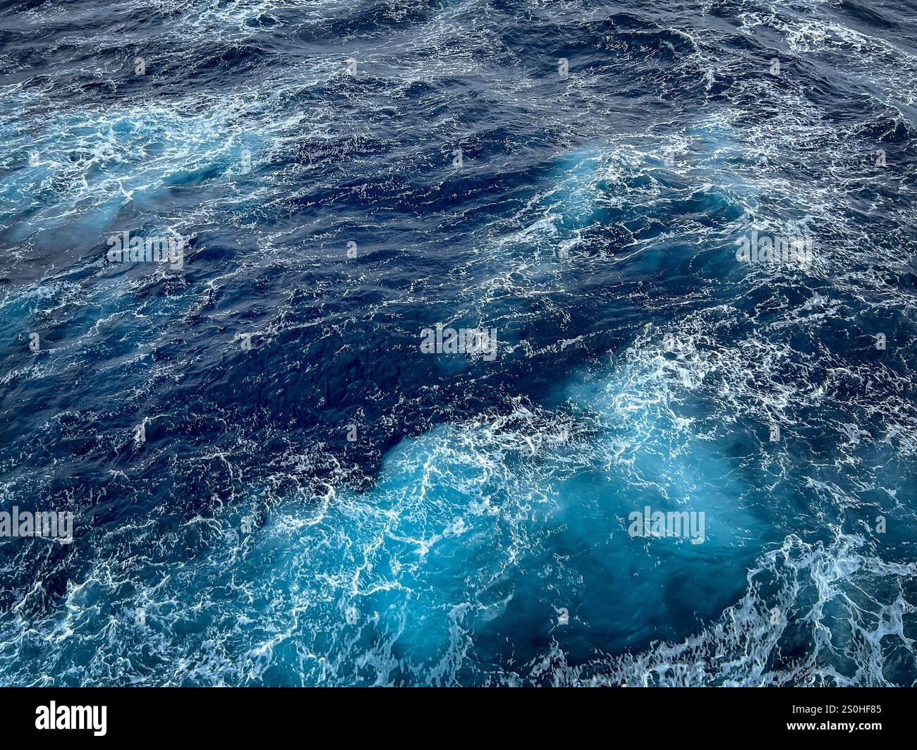 Dynamic nat image hi-res stock photography and images - Alamy