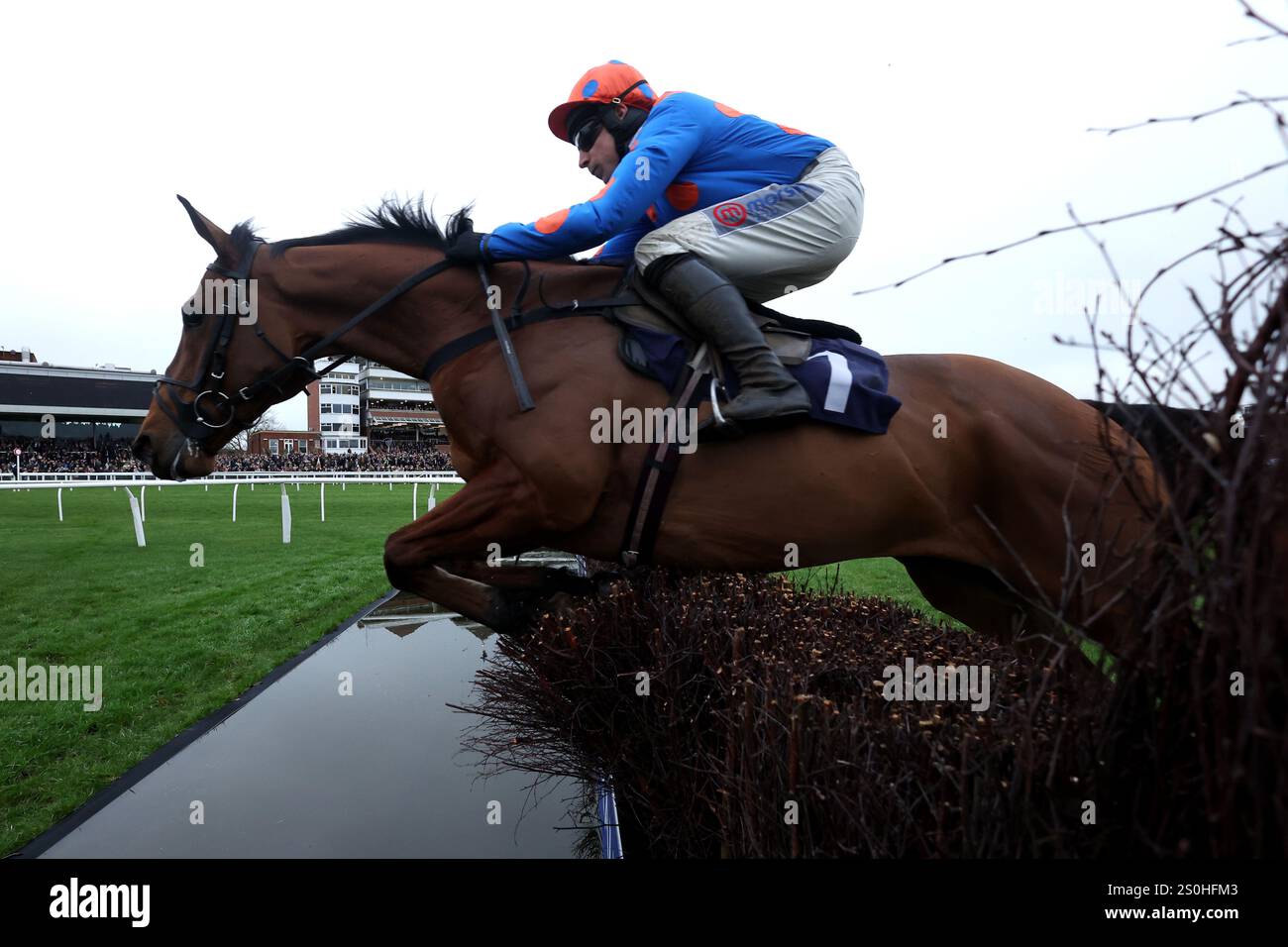Skycutter ridden by Harry Skelton during the Coral 'We're Here For It ...