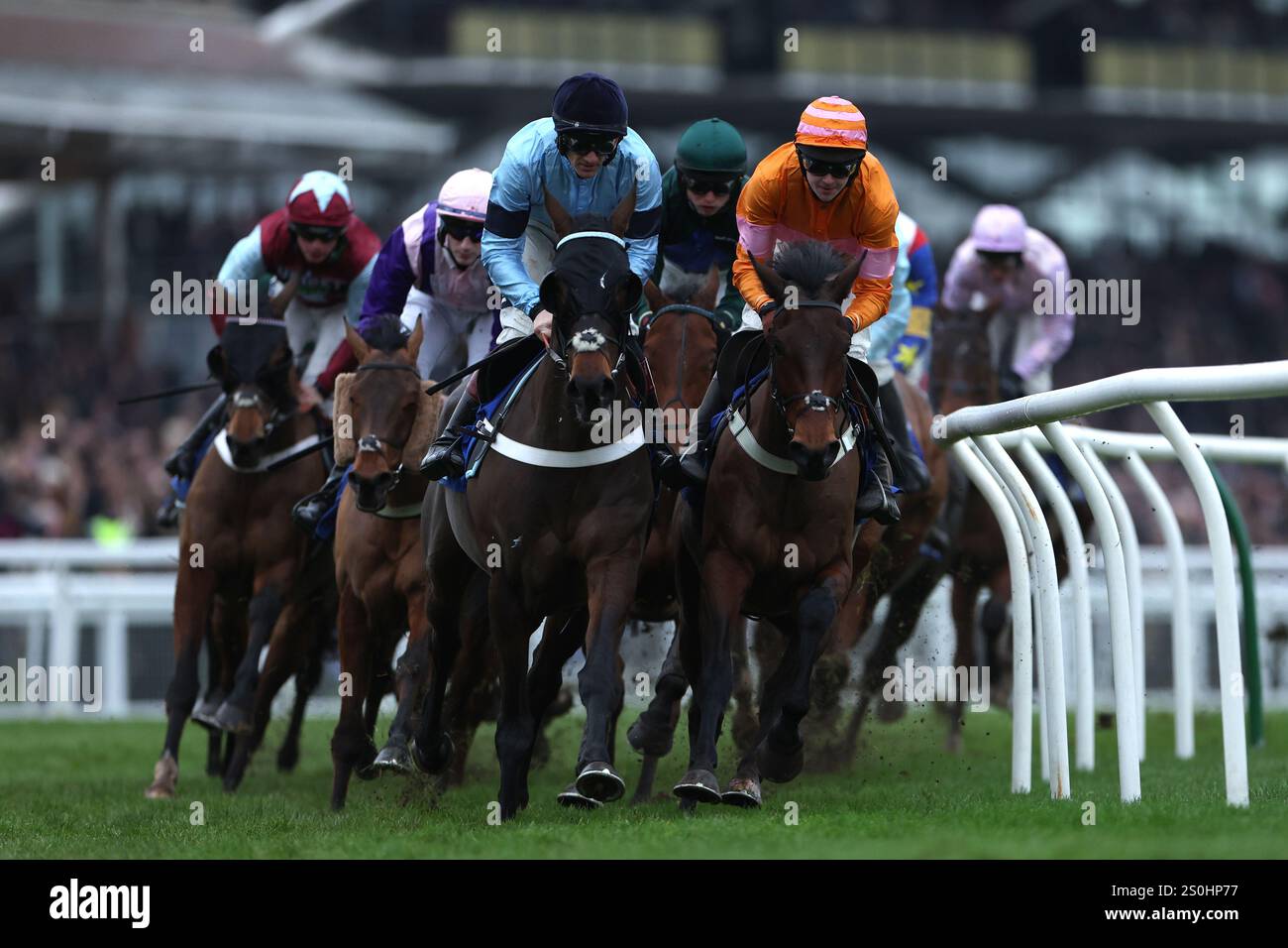 Runners and riders in the Coral Racing Club Join For Free Handicap ...