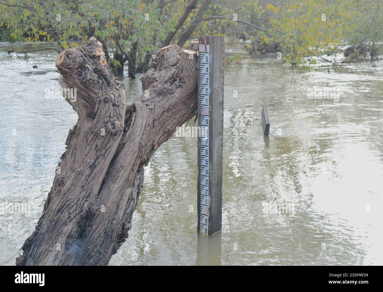 Water level measure in flooded park in Cobham England UK Stock Photo ...