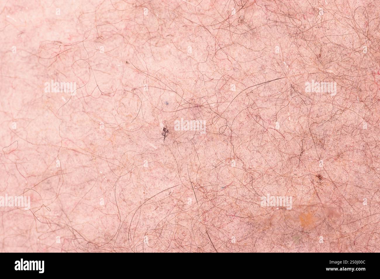 Lint from trap in a residential dryer including fibers and hair Stock ...