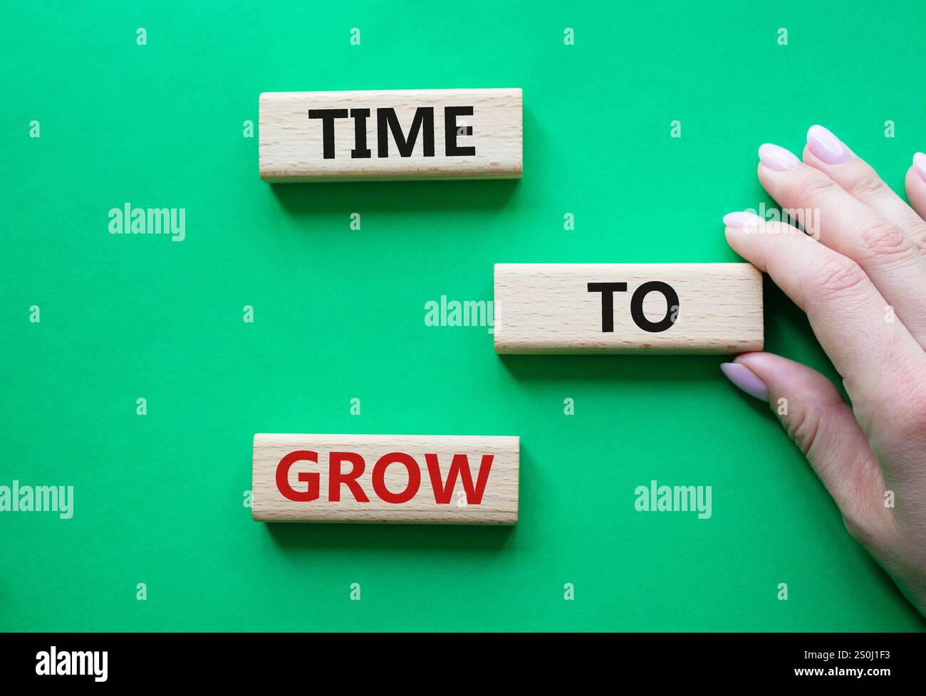 Time to Grow symbol. Concept word Time to Grow on wooden blocks ...