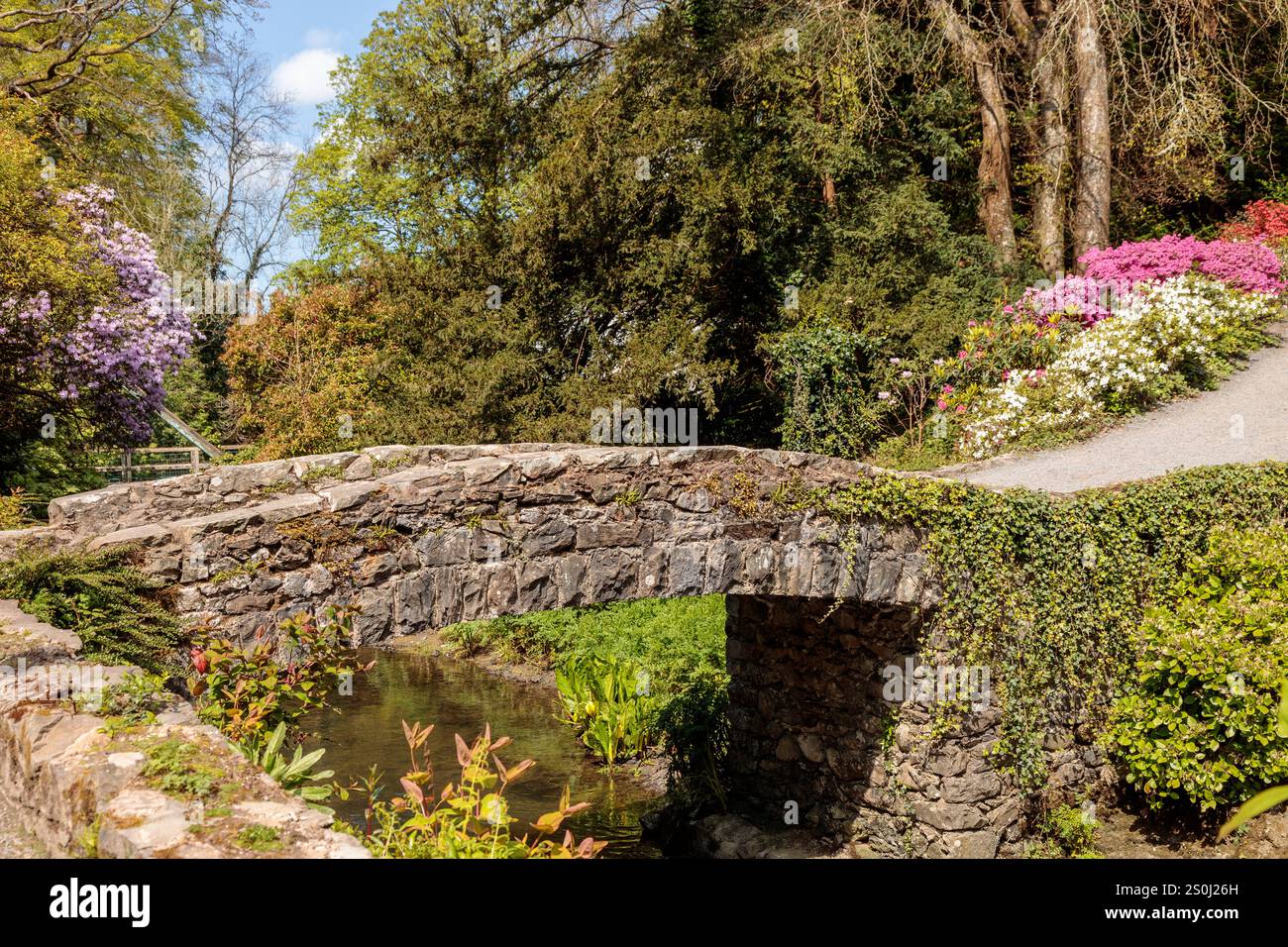 Old stone arch footbridge over a stream Stock Photo - Alamy