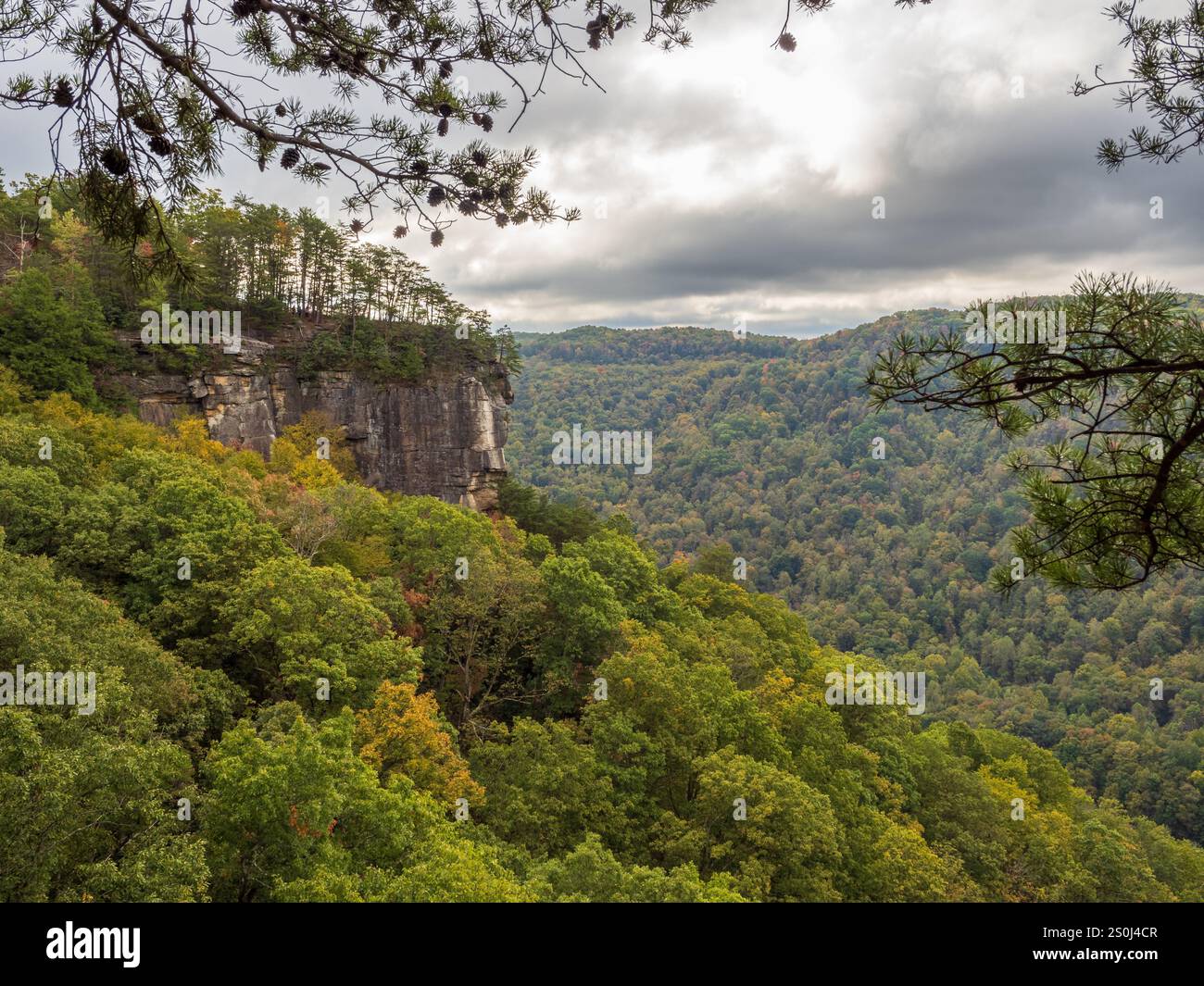 The Endless Wall Trail in New River Gorge National Park reveals ...