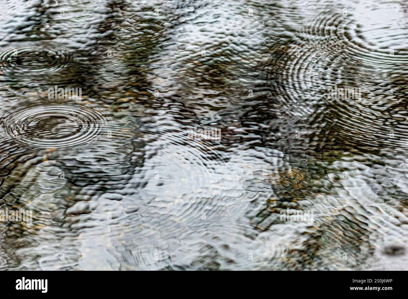 raindrops creating ripples ( transverse waves) in water, Nant Gwynant ...