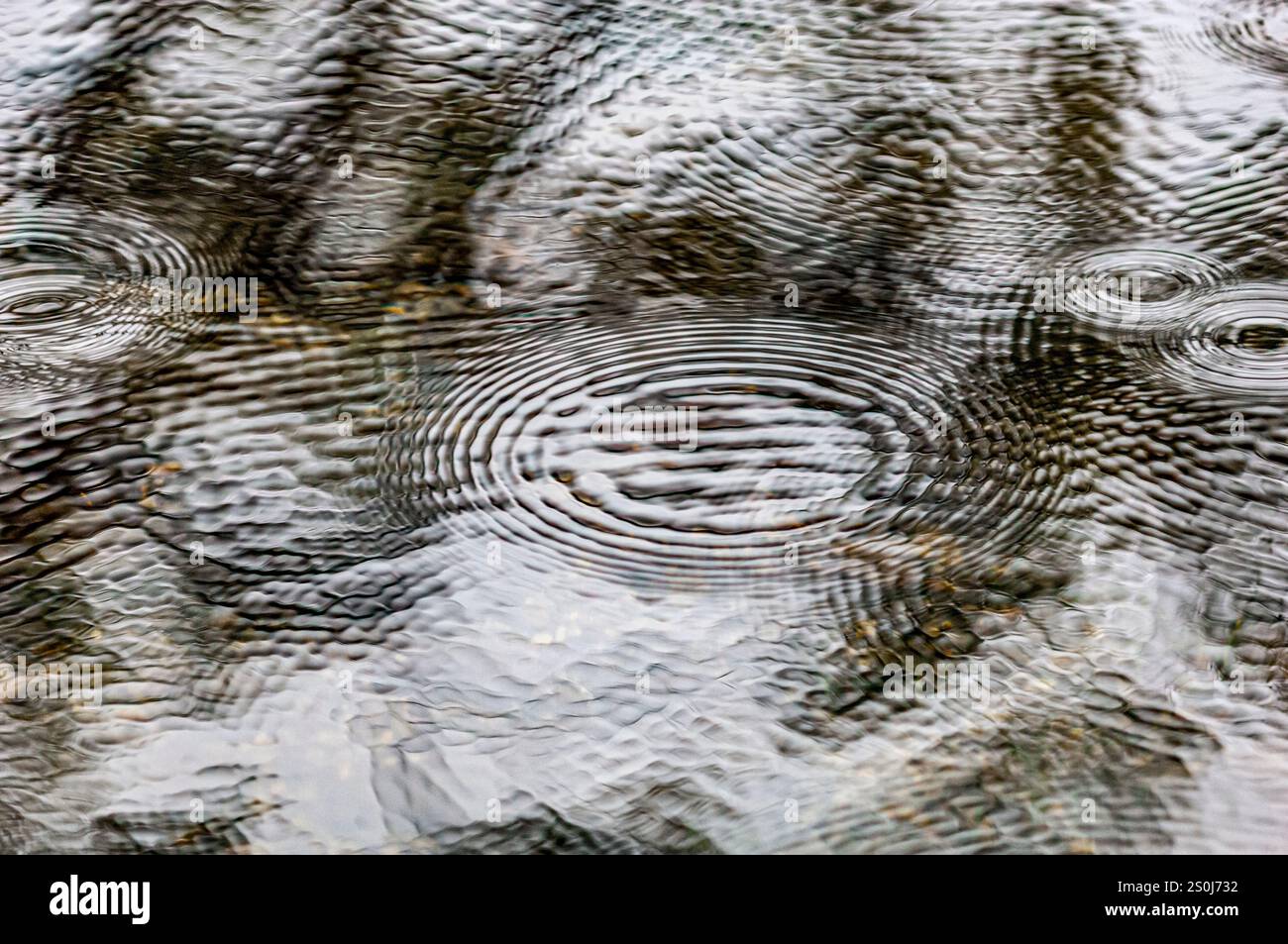 raindrops creating ripples ( transverse waves) in water, Nant Gwynant ...