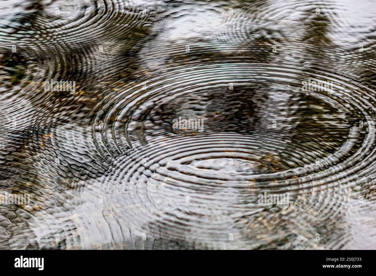 raindrops creating ripples ( transverse waves) in water, Nant Gwynant ...