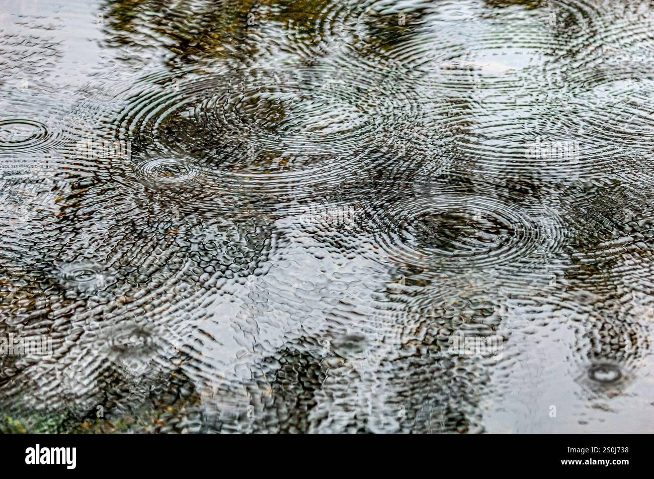 raindrops creating ripples ( transverse waves) in water, Nant Gwynant ...