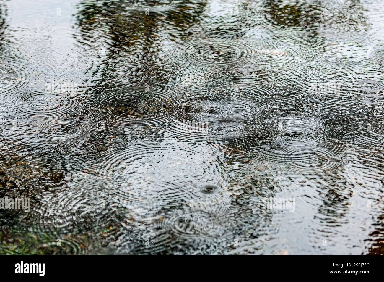 raindrops creating ripples ( transverse waves) in water, Nant Gwynant ...