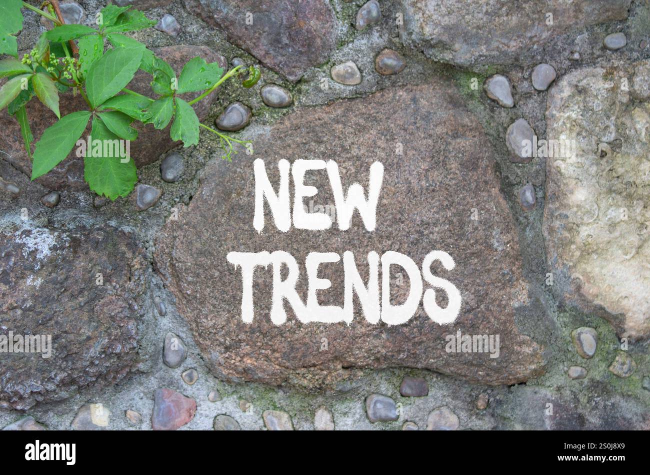 New Trends symbol. Stone wall with words New Trends. Beautiful stone ...