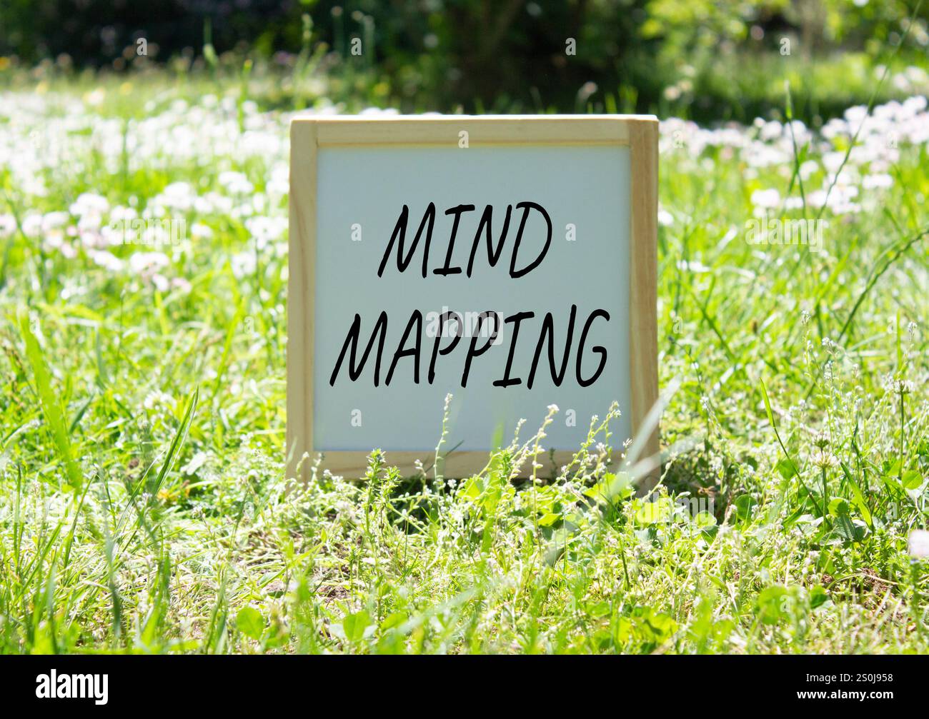 Mind Mapping symbol. Concept word Mind Mapping on white chalk ...