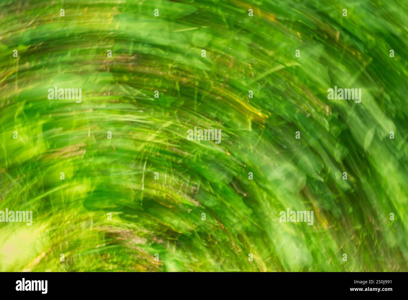 A dynamic pattern of green foliage swirls around, capturing the essence ...